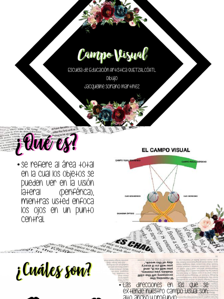 Elementos del Campo Visual en Dibujo | PDF