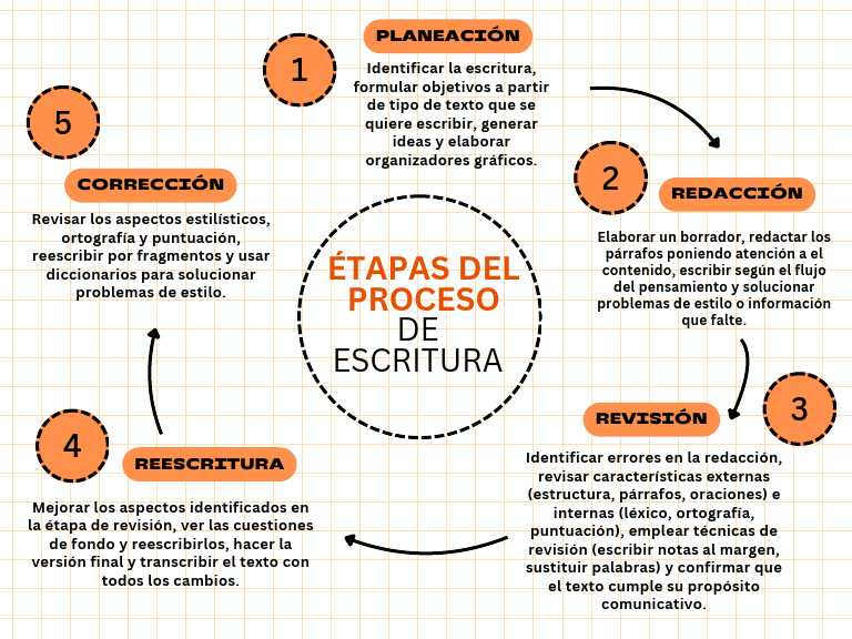 Étapas Del Proceso de Lectura | PDF | Puntuación | Lingüística