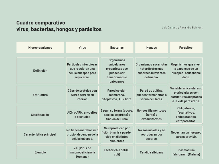 Cuadro Comparativo | PDF | Virus | Las bacterias