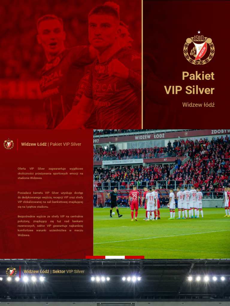 Prezentacja VIP Silver 10 01 2023 | PDF