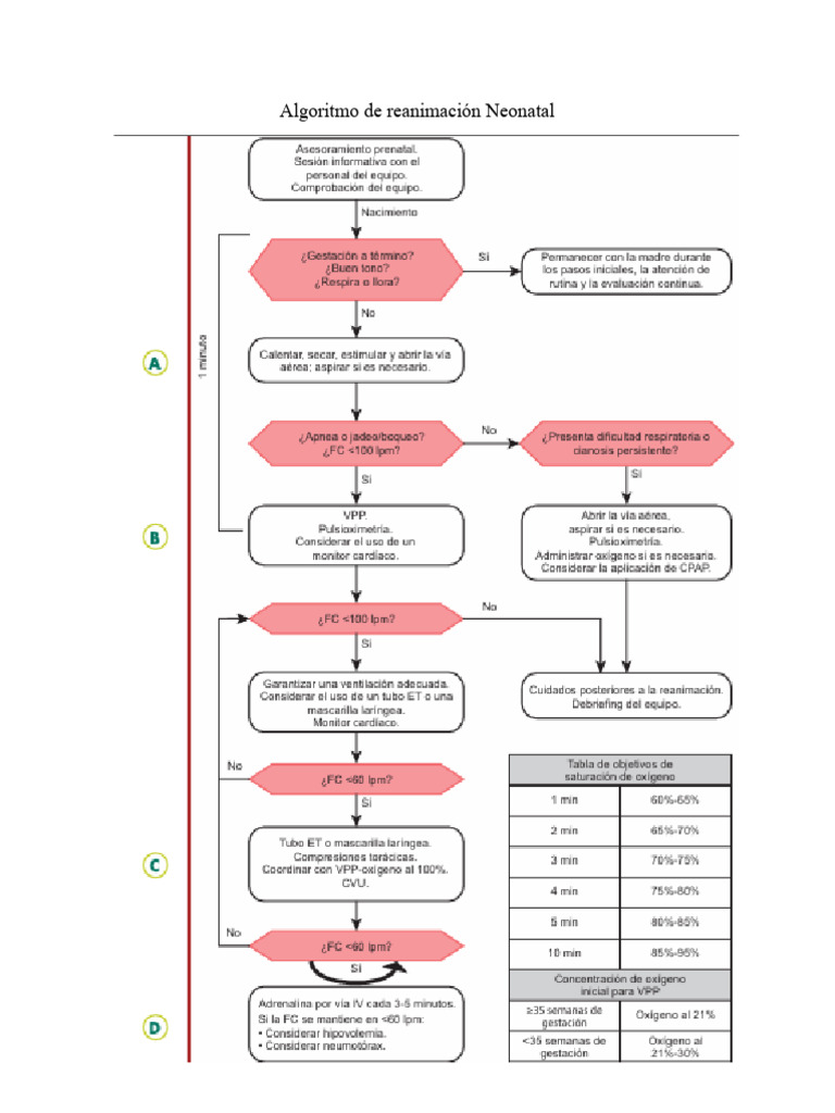 Algoritmos para Hipoglucemia Neonatal | PDF