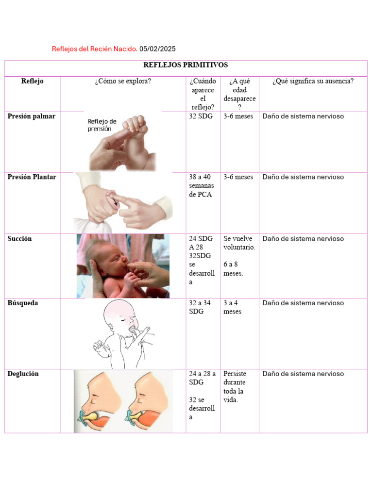 Reflejos del Recién Nacido | PDF
