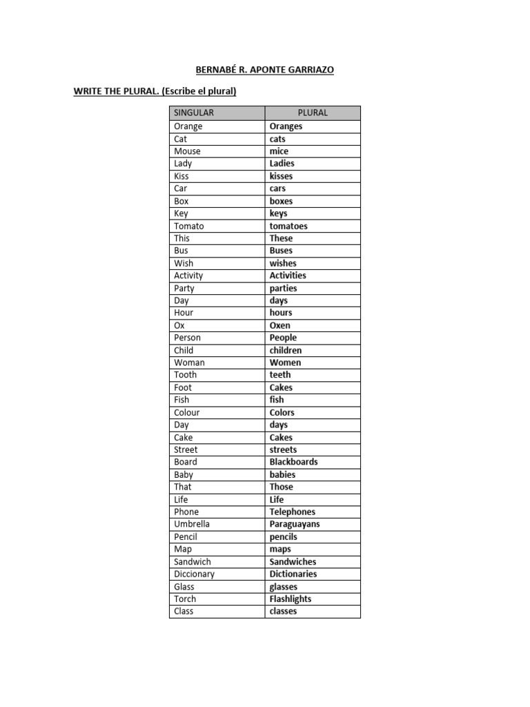 Plural Forms Practice Guide | PDF