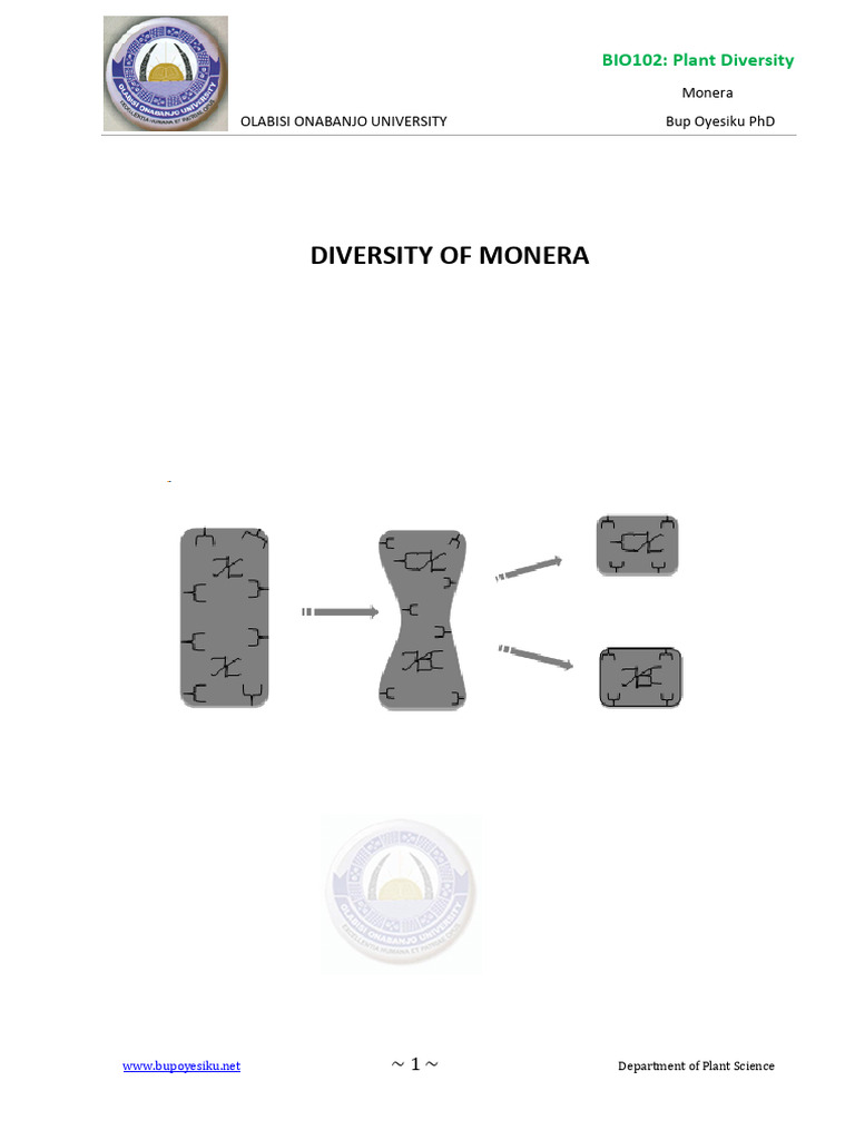 Diversity and Habitat of Monera | PDF | Bacteria | Decomposition