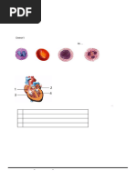 Endurity Core DR PM2152 | PDF | Artificial Cardiac Pacemaker | Medicine
