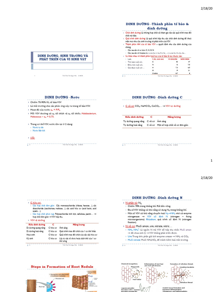 Dinh D NG - Thành PH NT Bào & Dinh D NG | PDF