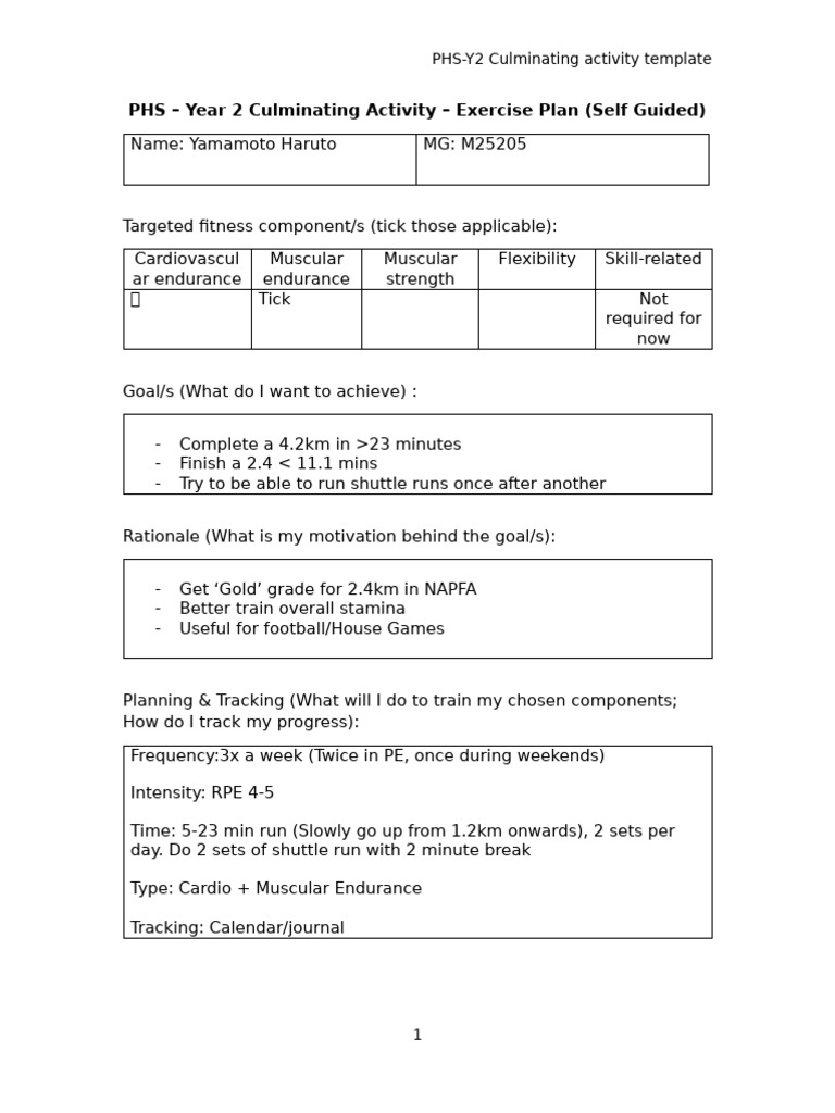 Template - PHS Y2 Exercise Plan (Sample) | PDF | Physical Fitness ...