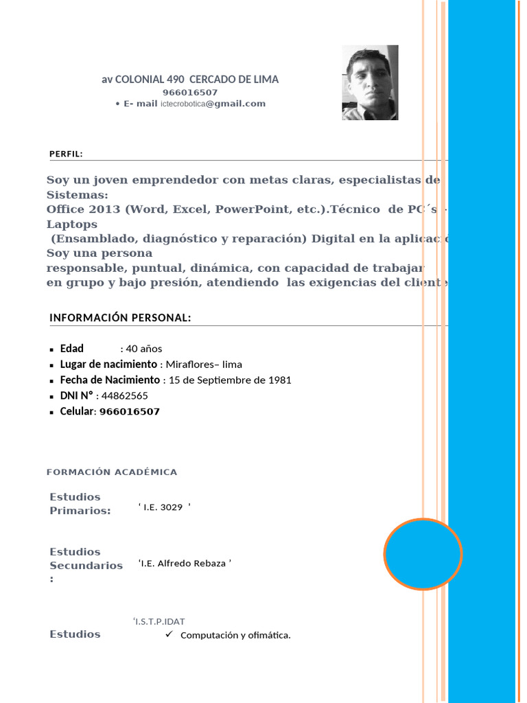 CV Miguel (1) (2) Mercaderista | PDF