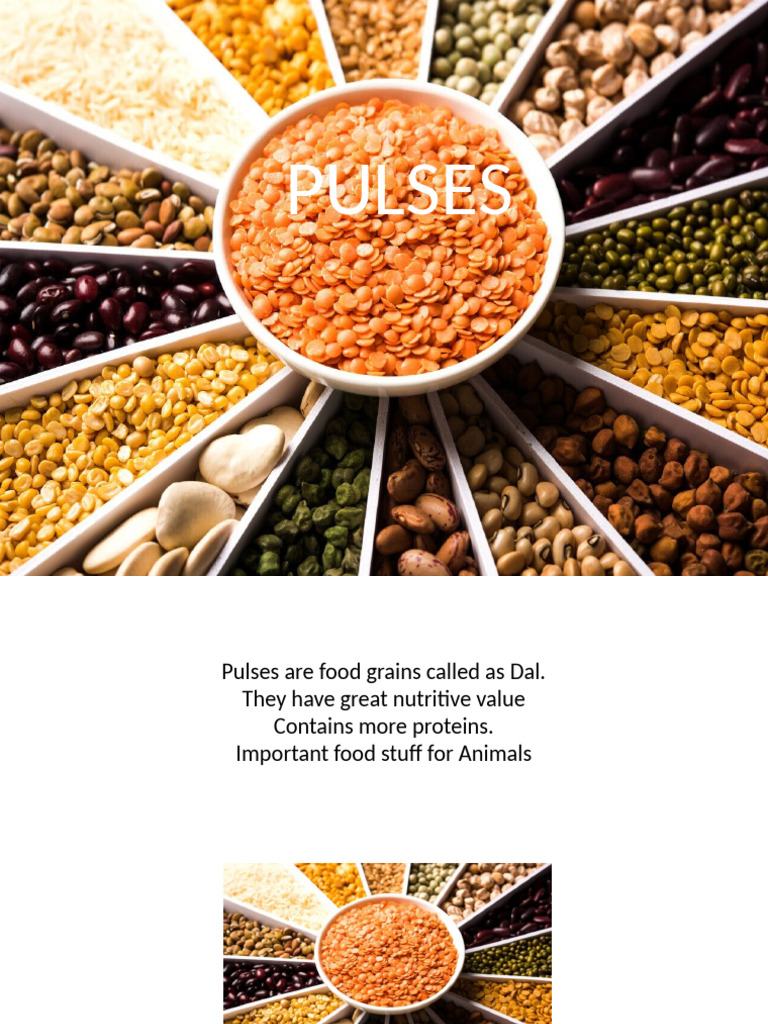 Pulses | PDF