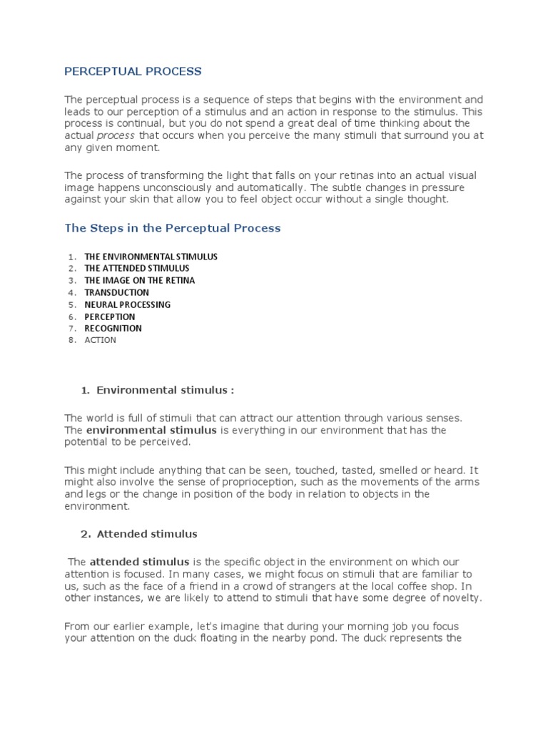 Perceptual Process | PDF | Retina | Perception