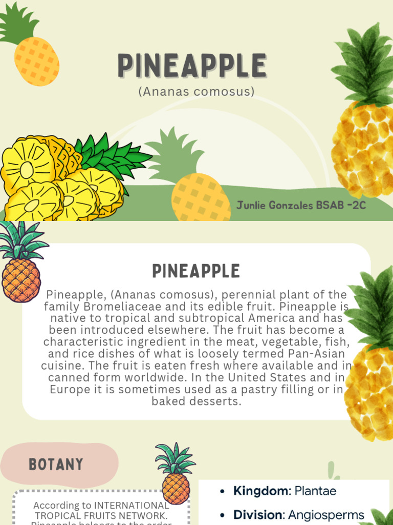 Pineapple Gonzales | PDF | Pineapple | Agriculture