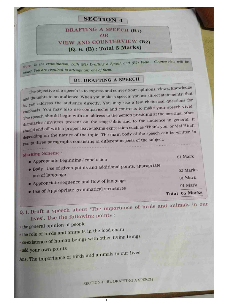 Drafting Speech | PDF