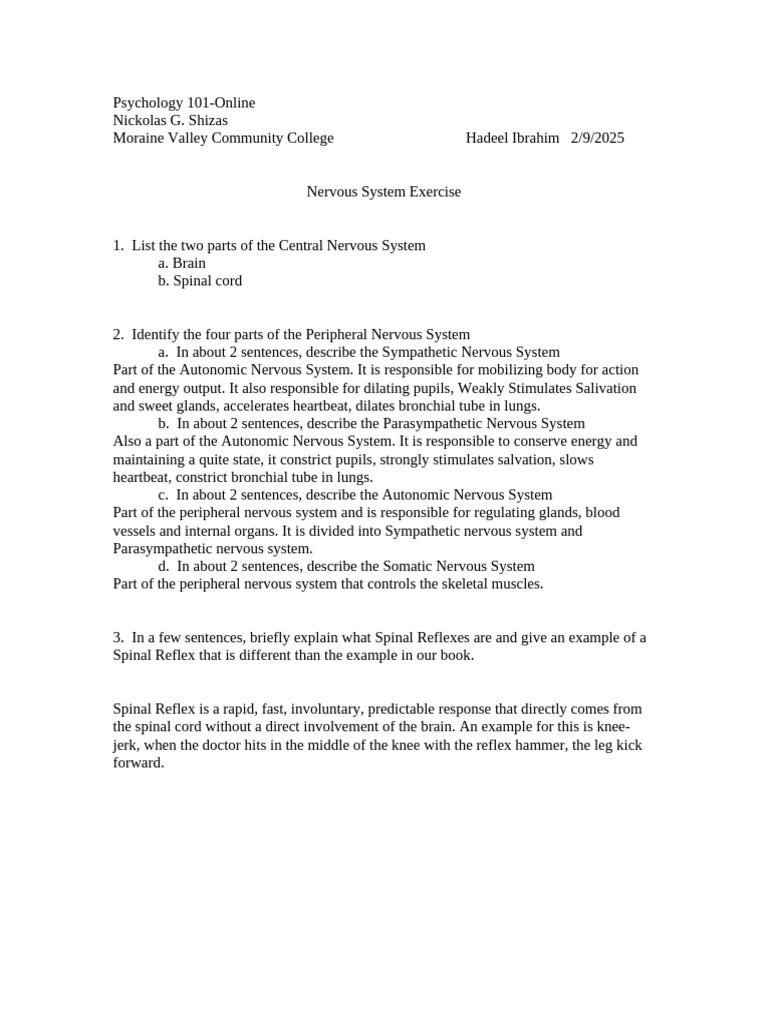Nervous System Exercises Overview | PDF