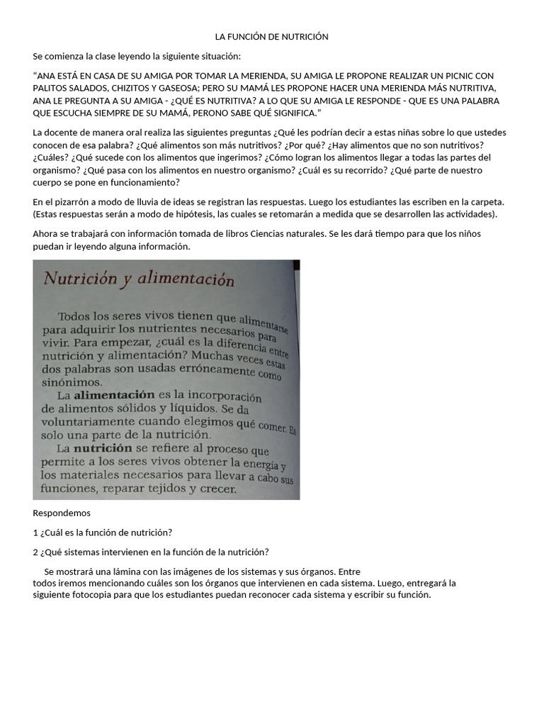 LA FUNCIÓN DE NUTRICIÓN 5to | PDF | Sistema digestivo humano | Respiración