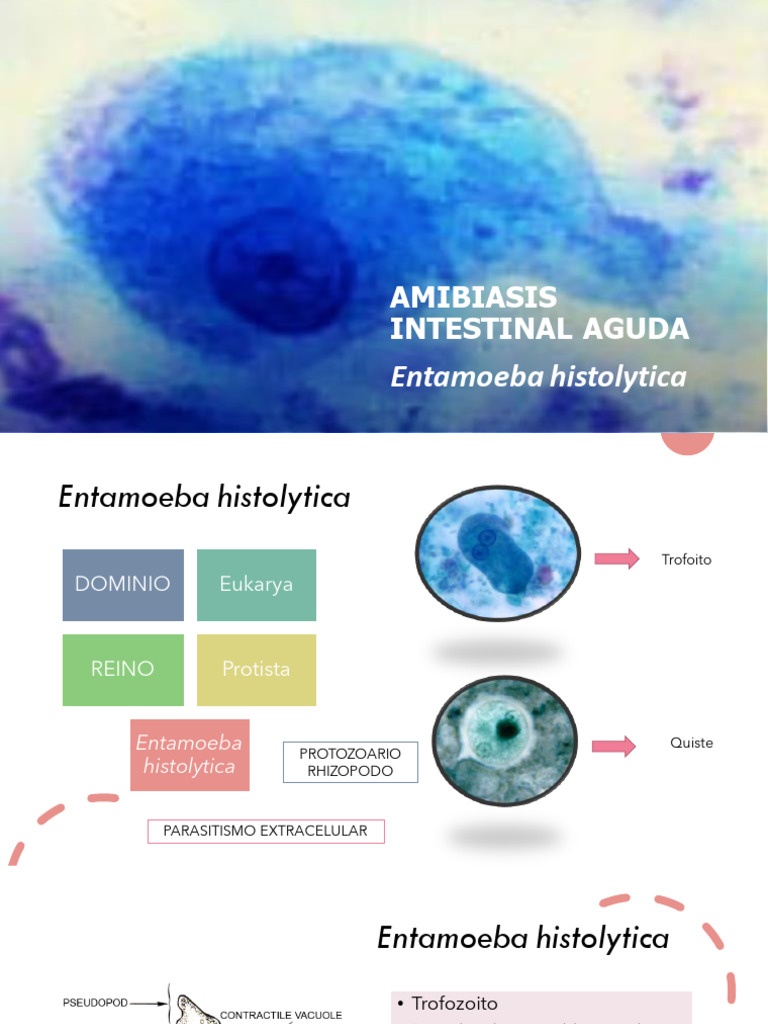 Amibiasis Intestinal: Guía Rápida | PDF | Biología Celular