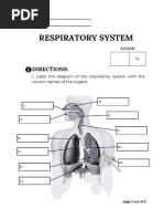 The Respiratory System Diagram No Labels - Google Searcho | PDF ...