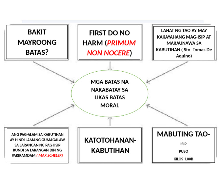 Concept Map - M5 - G9 | PDF