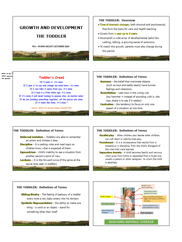 Module 3 Toddler and Preschool 2 | PDF | Toddler | Language Development