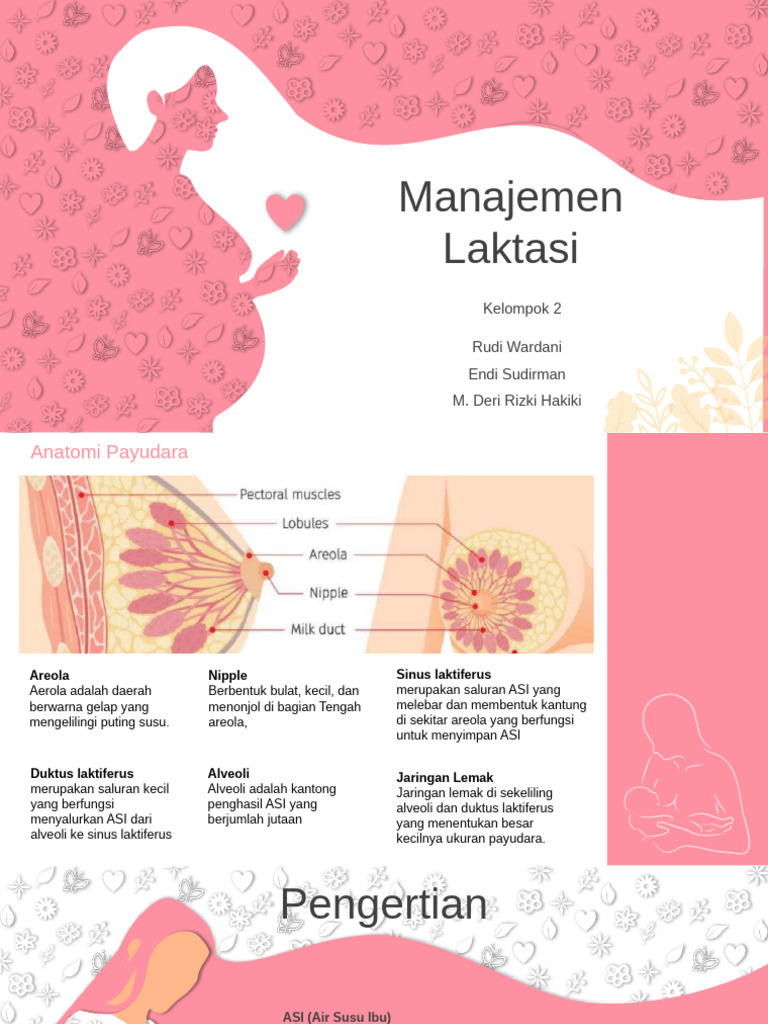 Kel 2 Manajemen Laktasi | PDF