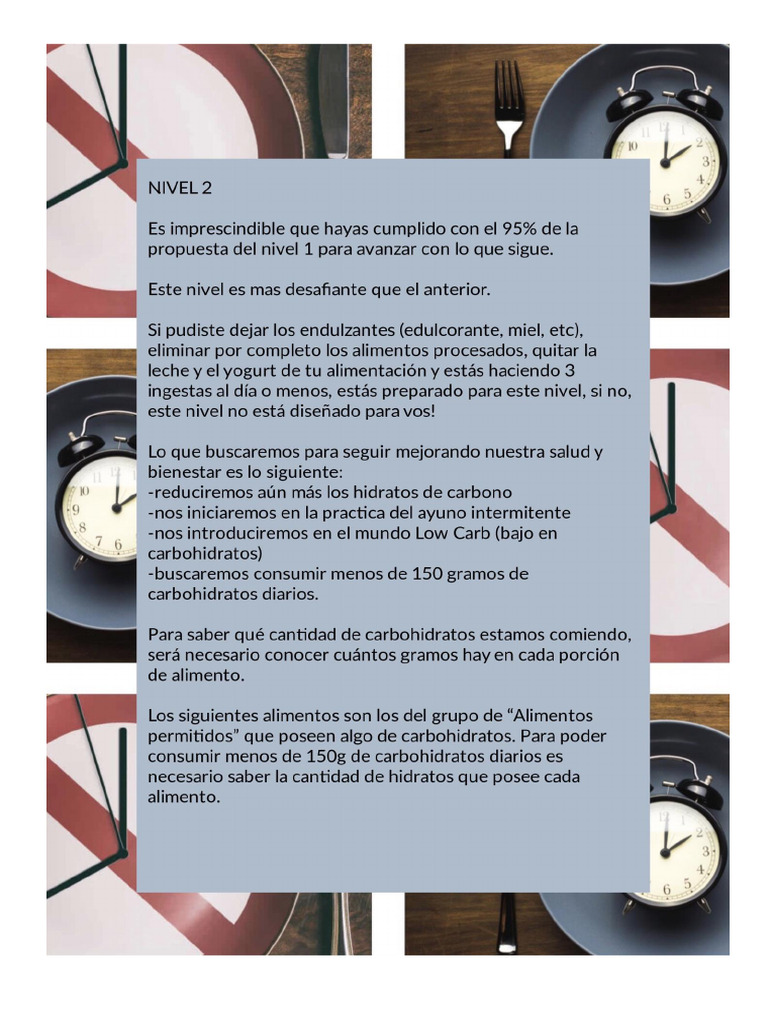 Programa Alimentacion Nivel 2 | PDF