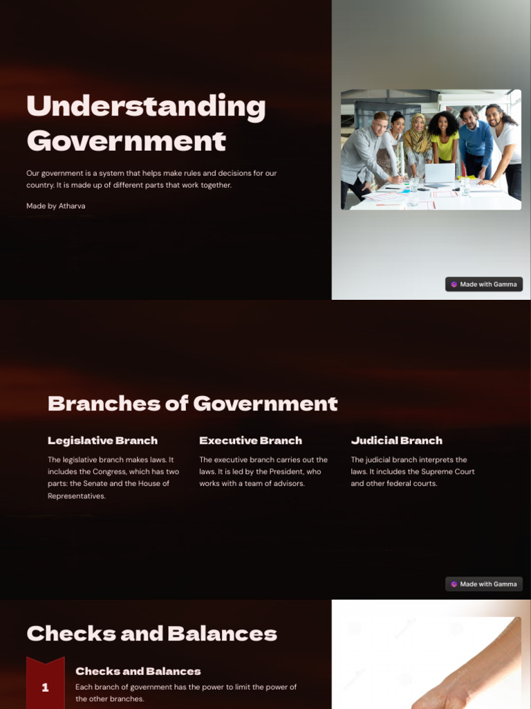 Understanding Government | PDF