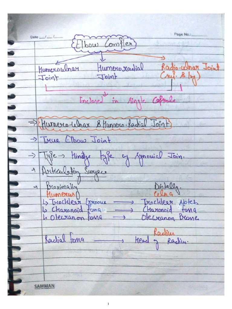 Elbow Complex Biomechanics | PDF