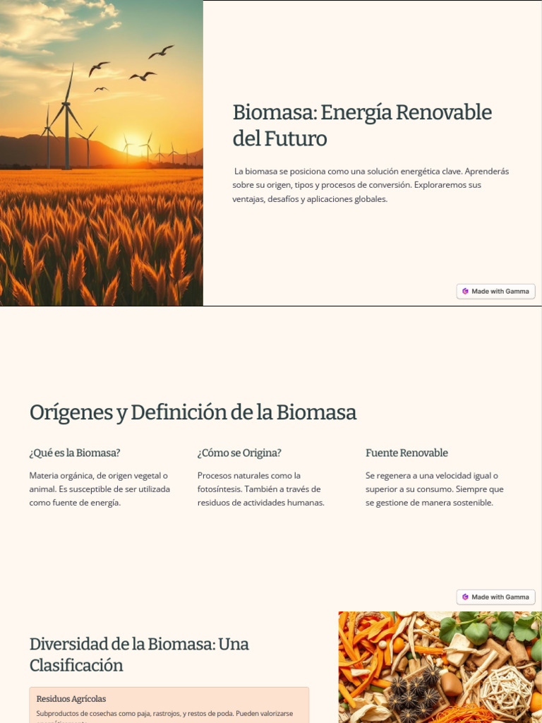 Biomasa Energia Renovable Del Futuro | PDF | Biomasa | Biocombustible