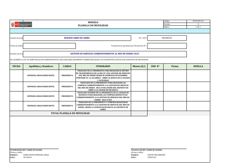 Planilla Presidenta | PDF | Gobierno y personalidad | Ciudadanía
