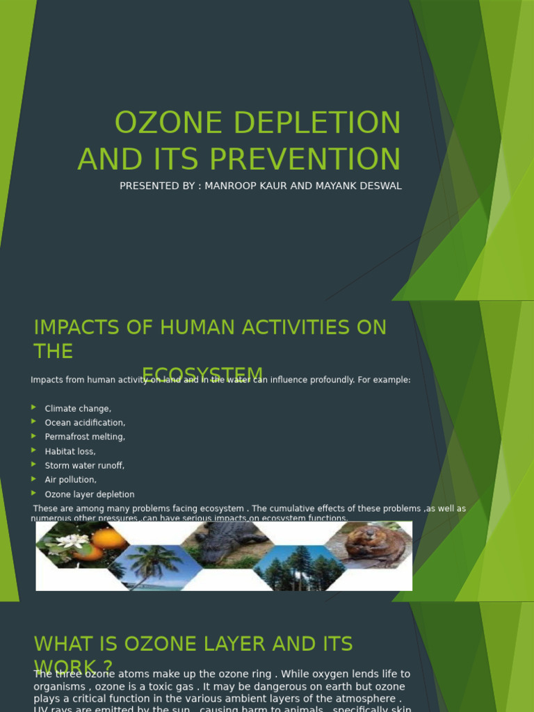 Ozone Layer Depletion and Prevention Guide | PDF | Ozone Depletion | Ozone