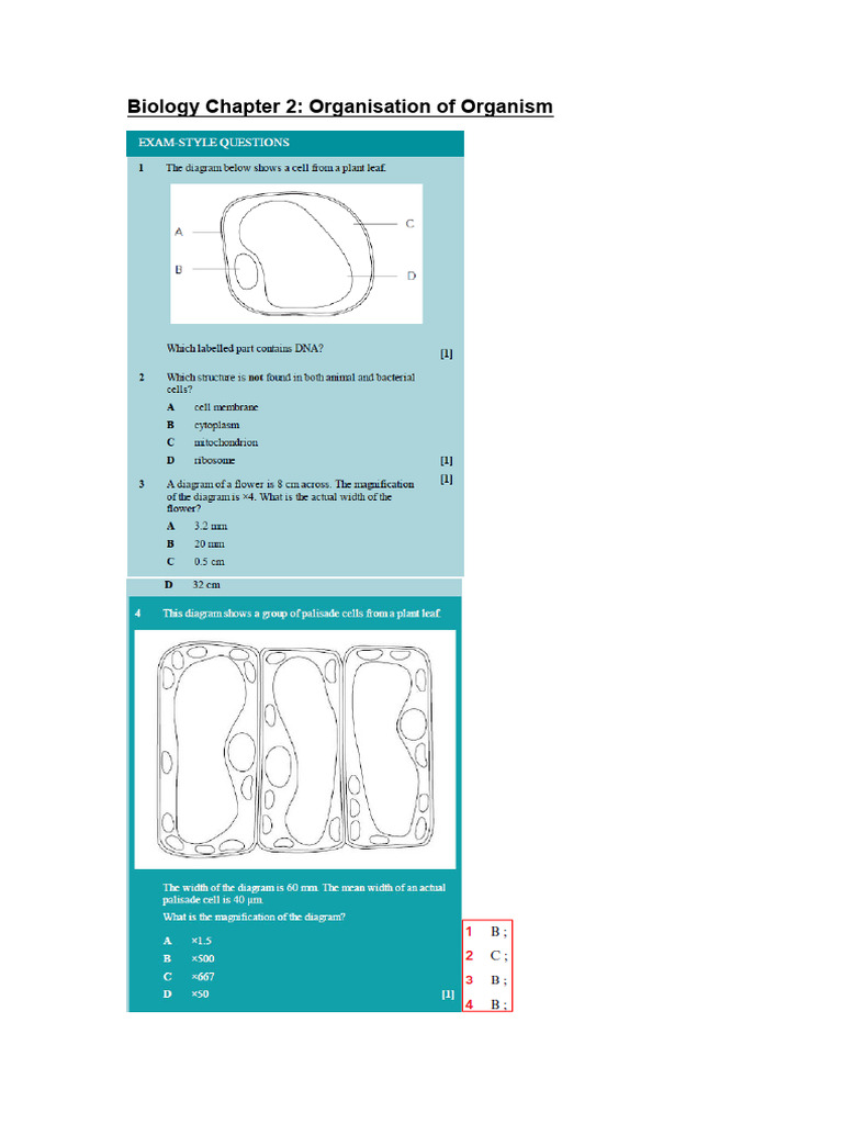 Biology Chapter 2 - Exam - Answer | PDF