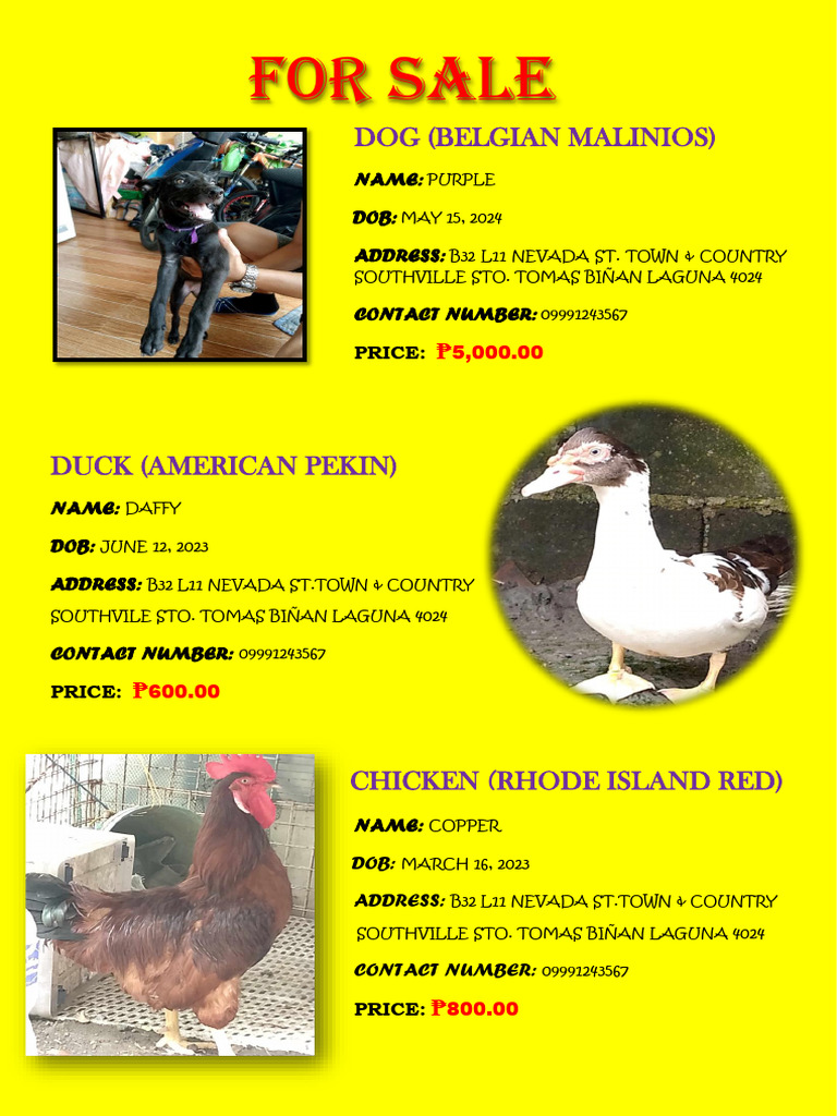 Carlisle Project1 | PDF