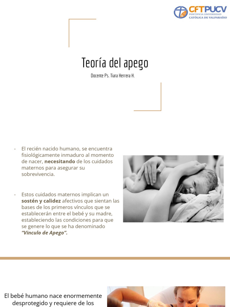 CLASE Teoría del apego (2) | PDF | Teoría de apego | Comportamiento