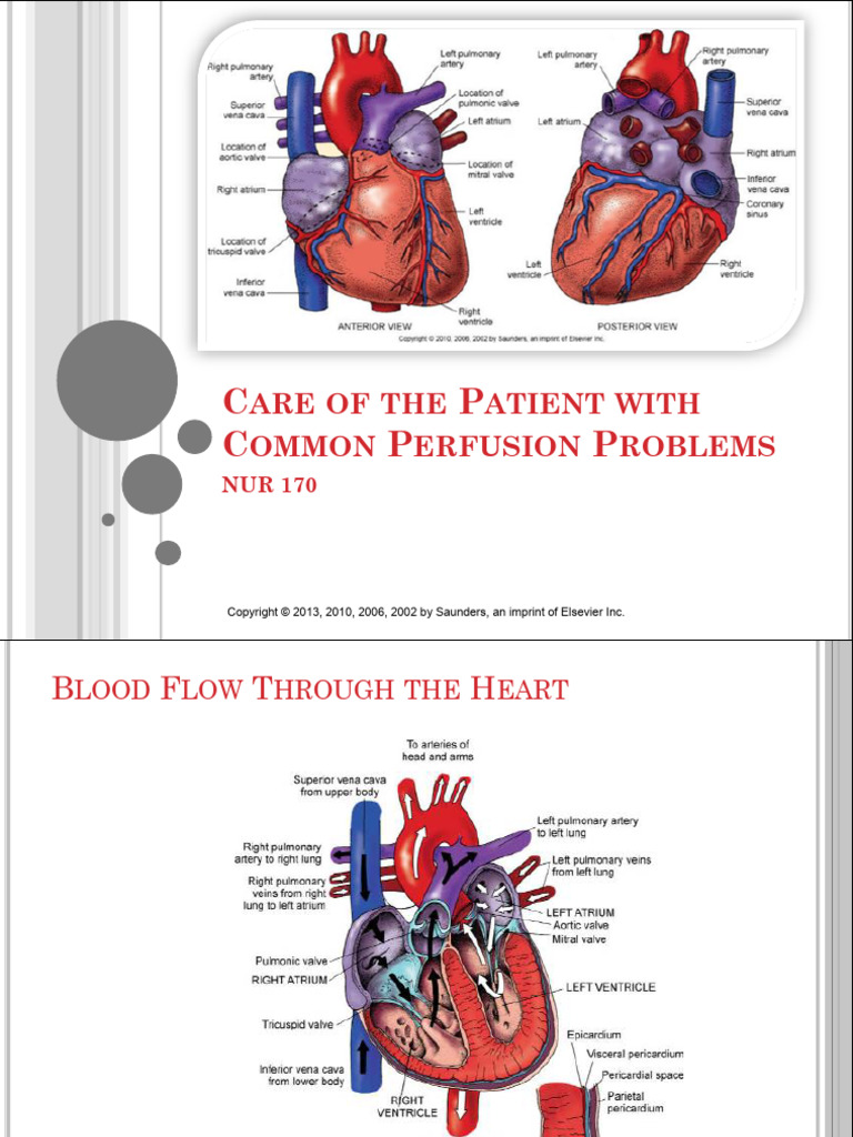 Exam 4 PowerPoints | PDF | Heart Failure | Heart