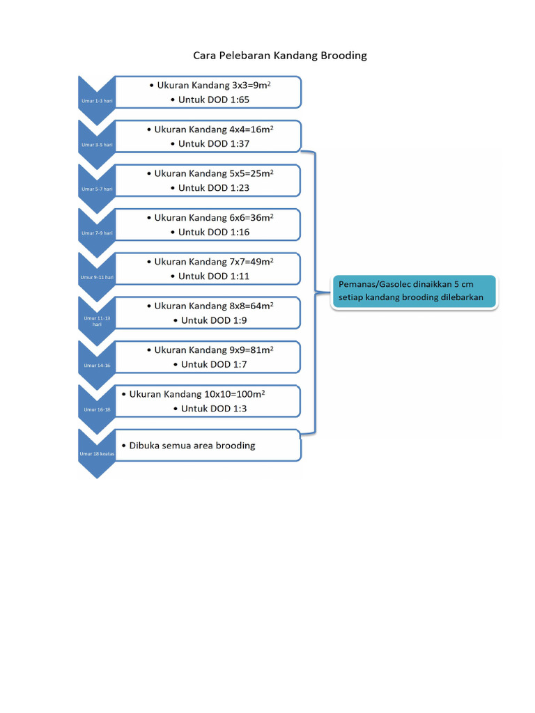 Cara Pelebaran Kandang Brooding Dan Penimbangan Bebek FIX | PDF