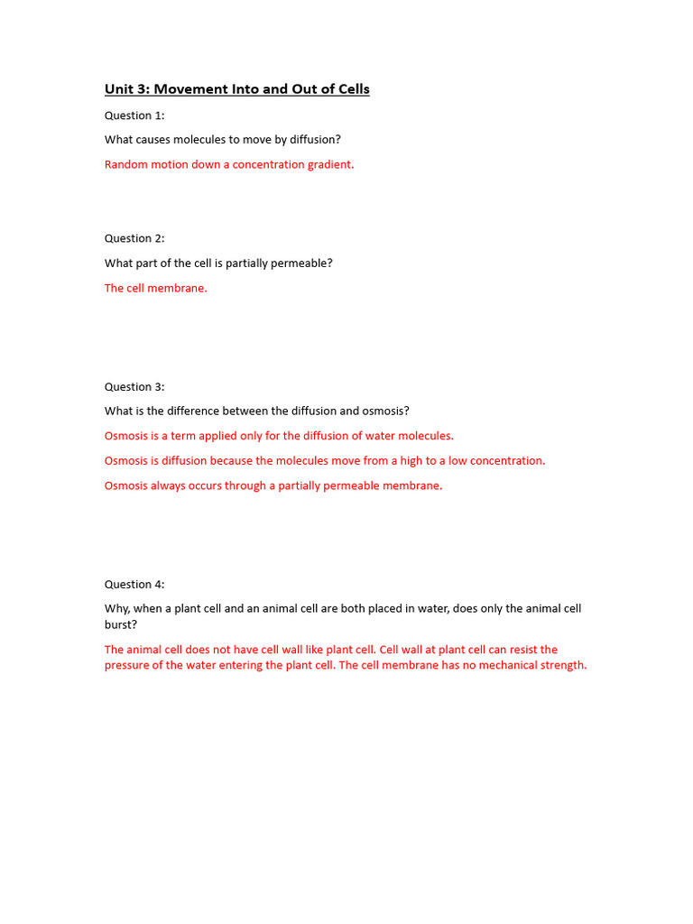 Unit 3_Answer | PDF