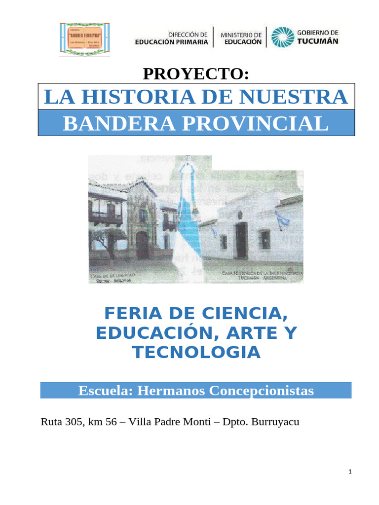 Historia de la Bandera Provincial Macha | PDF