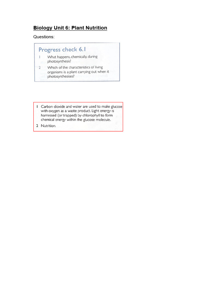 Unit 6 - Answer | PDF