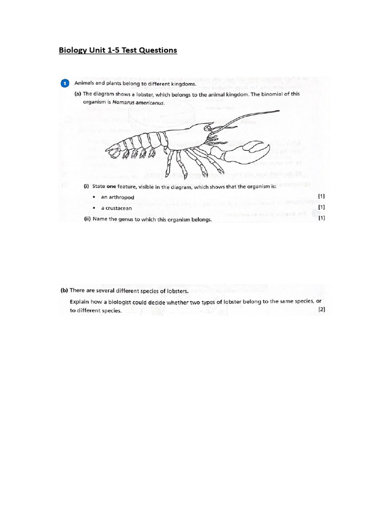 Unit 1 To 5 - Test Questions | PDF
