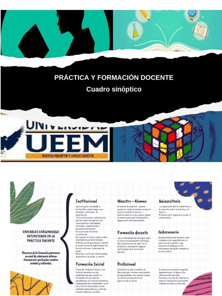 Variables Exógena - Práctica Docente | PDF