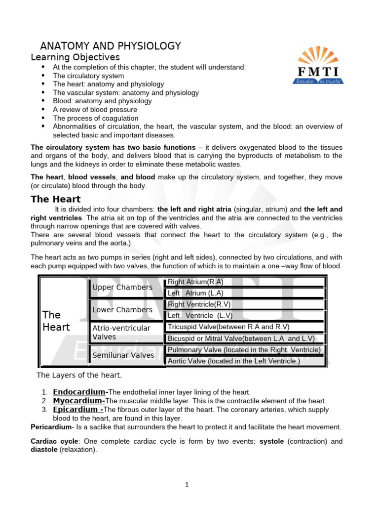 2.-Anatomy and Physiology (Phlebotomy) | PDF | Heart | Blood Type
