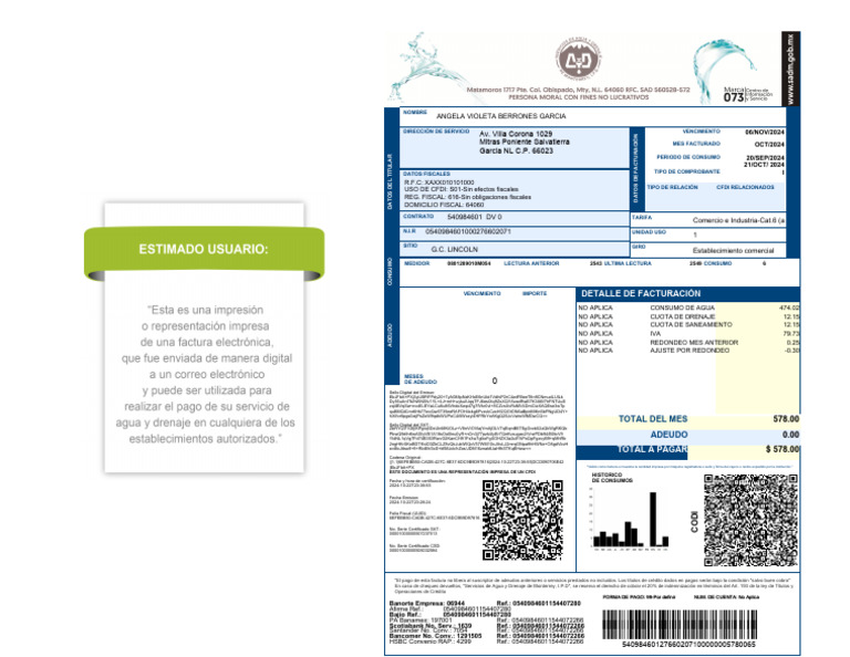 Factura 20241023 065145 | PDF