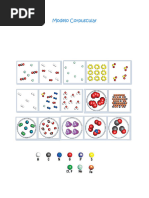 Modelo Corpuscular: Elementos y Mezclas | PDF