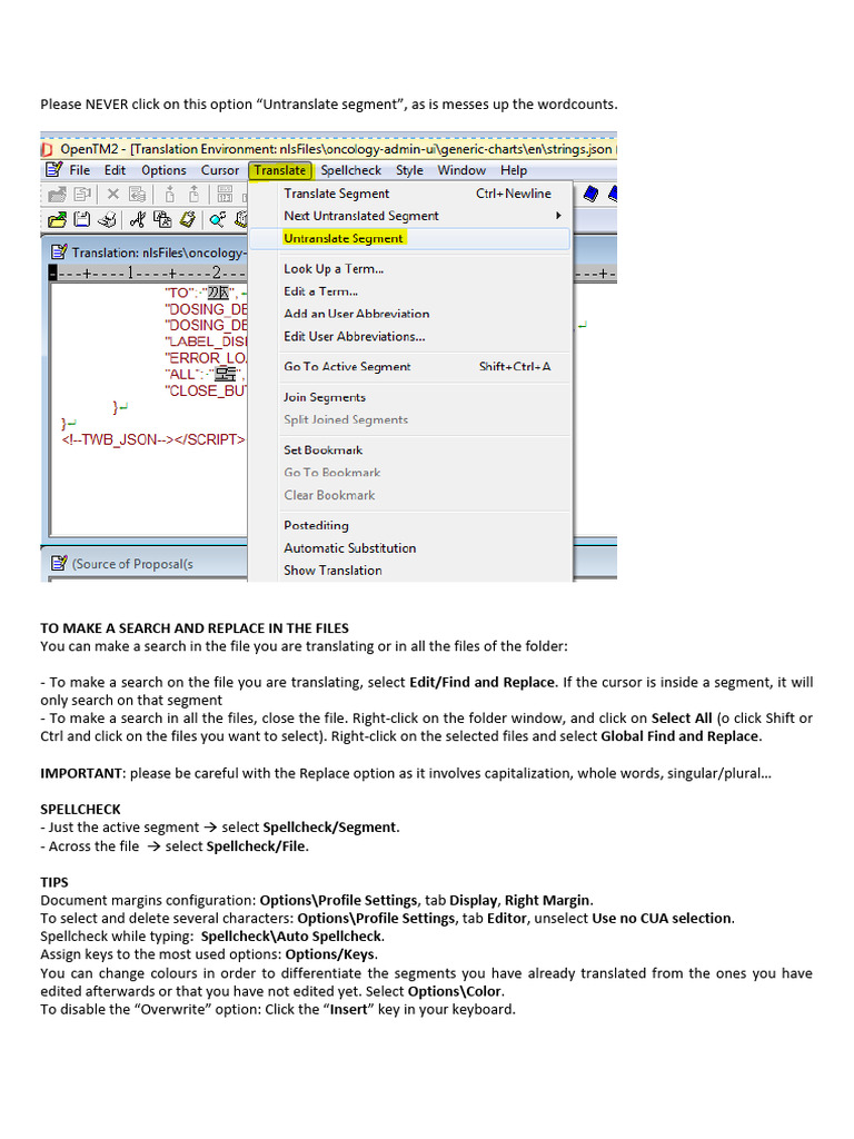 Translation File Editing Guide | PDF