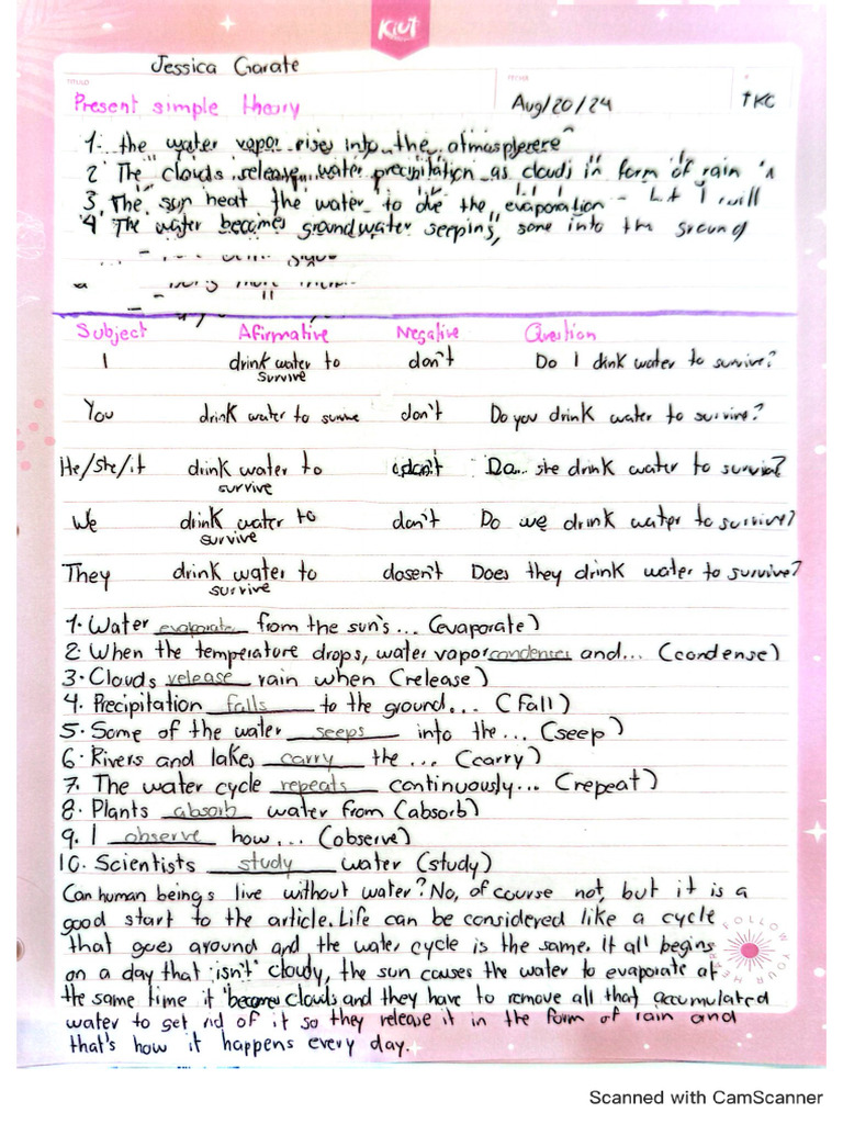 Present Simple Theory | PDF