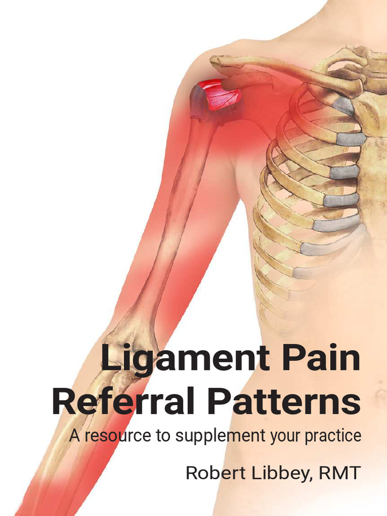 Ligament Pain Referral Patterns Guide | PDF | Pain | Perception