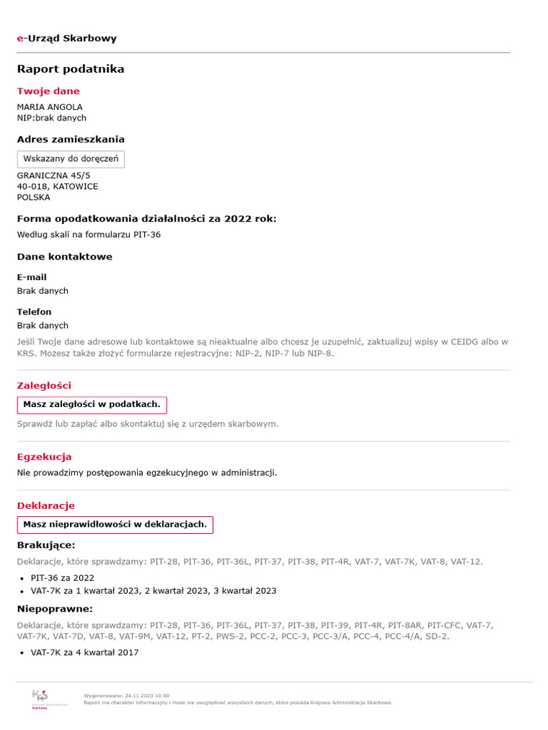 File Przykladowy Raport Dot Podatnika Prowadzacego Dzialalnosc Gospodarcza 1 39985 | PDF