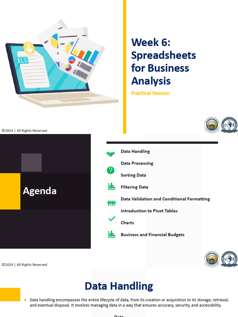 Week 6 Spreadsheet For Business Analysis - Practical Session | PDF | Computing