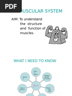 BTEC Sport Level 3 Revision Guide Muscular System | PDF