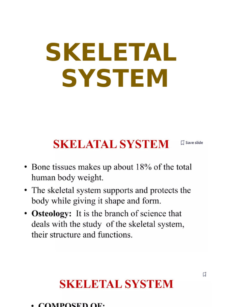 Overview of the Skeletal System | PDF