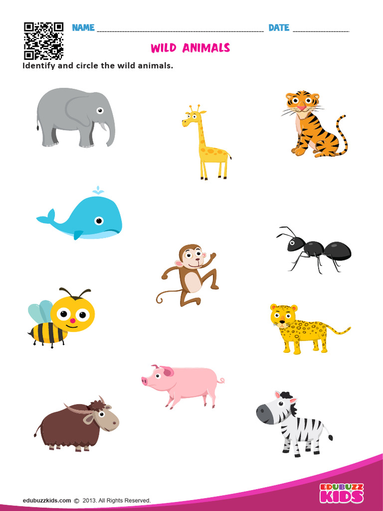 Identify Wild Animals Worksheet | PDF